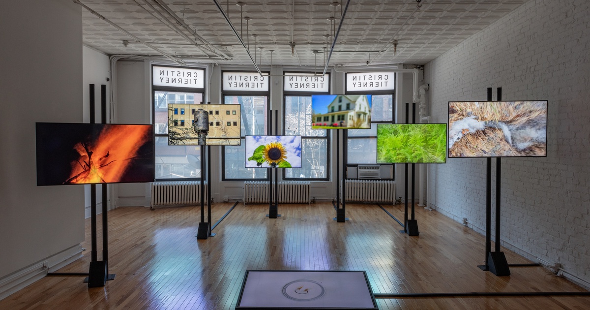 Mary Lucier: Leaving Earth | Cristin Tierney